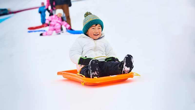 Activity | Tobogganing